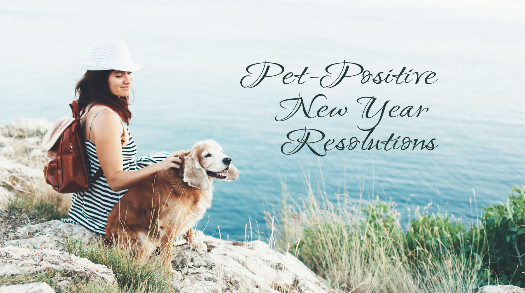 13 Pet-Positive New Year’s Resolutions for 2024 - HomeoPet