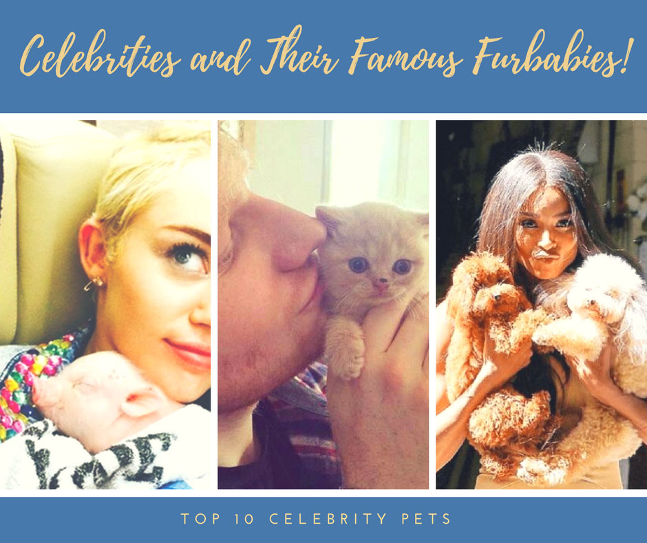 Celebrities and Their Famous Fur-babies : Ten Celebrity Pets - HomeoPet