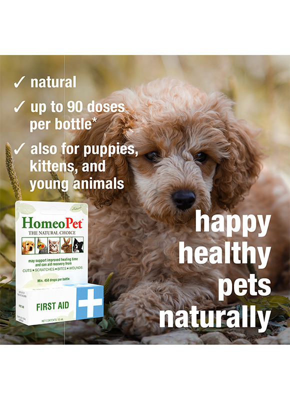 FIRST AID - HomeoPet